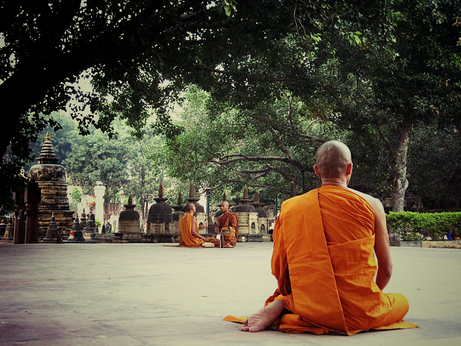 Spiritual | Sharell Cook | Writer and Author